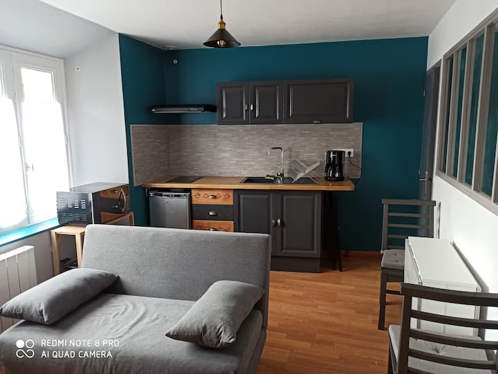Studio 25m2 Sur Le Port De Plaisance De Tréboul - Douarnenez