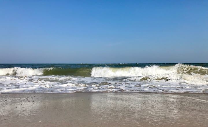 Assateague Island Vacation Rentals | House and Condo Rentals | Airbnb