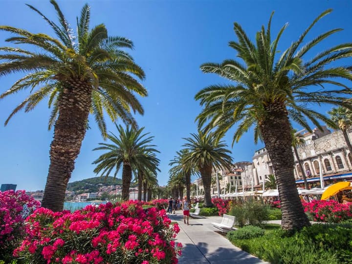 Stone Roses Rooms - Room 1 - Split