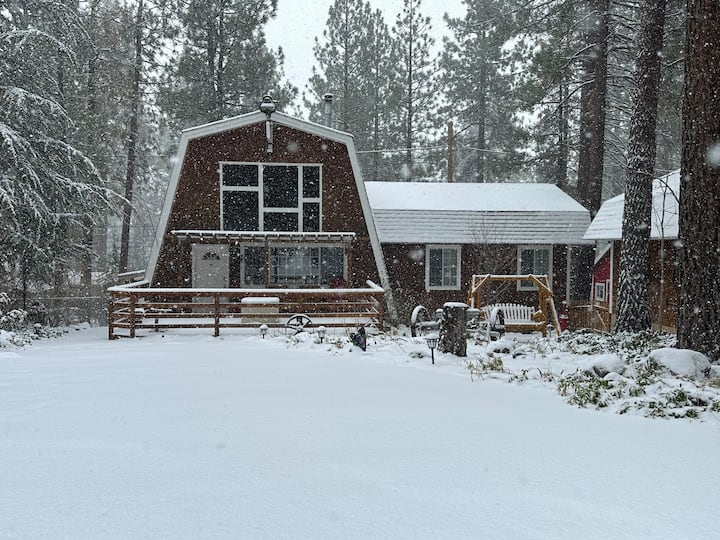 Cozy Cabin Set In Pines Surrounded By Lilacs - Wrightwood, CA