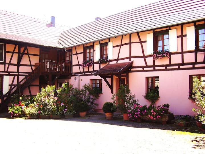 Gite Centre Alsace 3p. - Benfeld