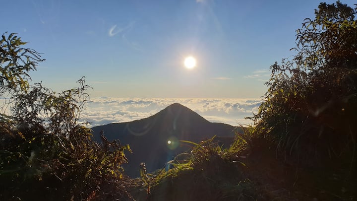 Swift River Vacation Rentals & Homes - Portland Parish, Jamaica | Airbnb