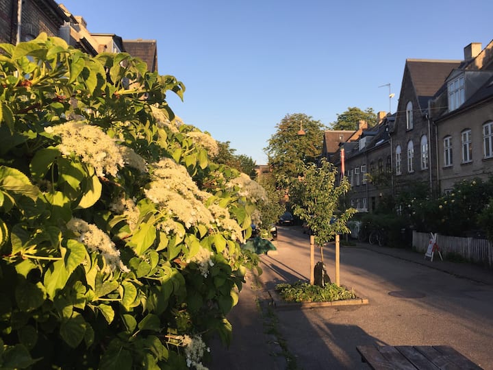 Town House In Best Area, 200sqm, Private Garden - Copenaghen