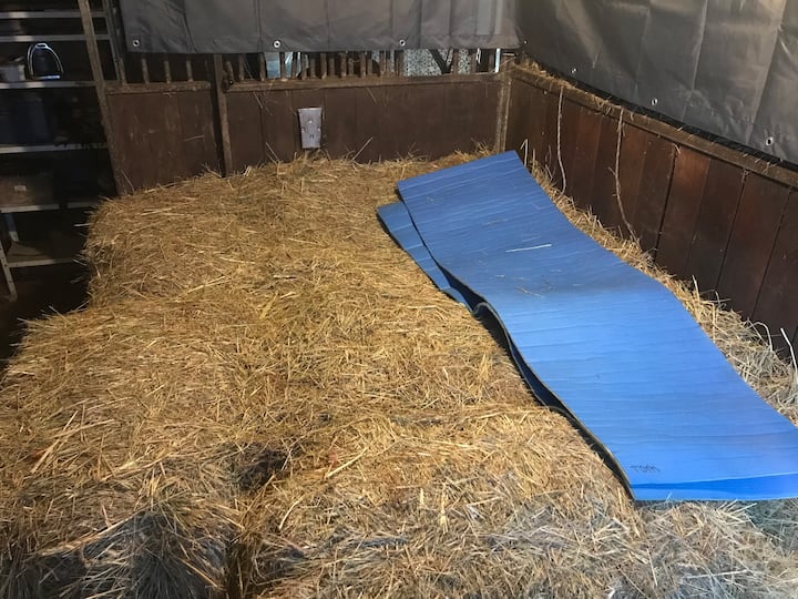 Slapen Met Schapen (In Het Hooi) - Apeldoorn