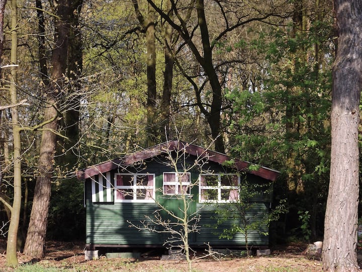 A Little Forest Hideaway - Sittard