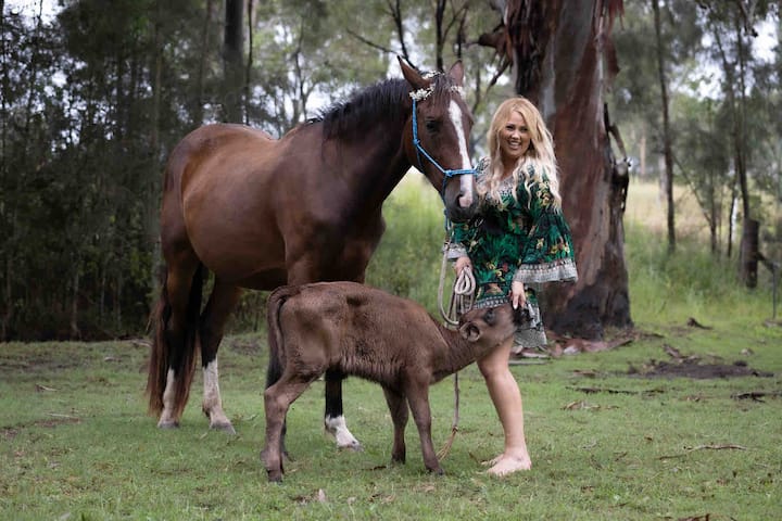 Homestead - Singleton