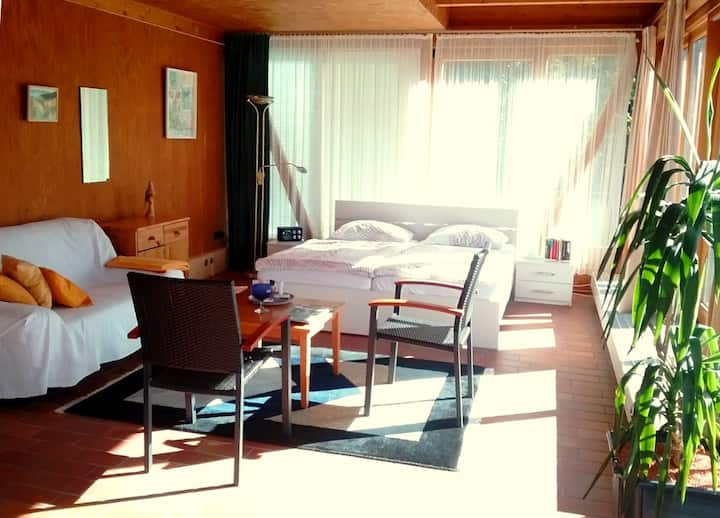 Sunny Studio With Terrace - Halstenbek