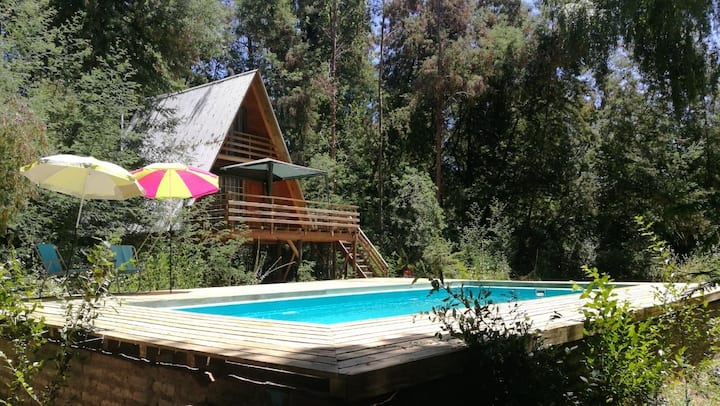 Parcela Boscosa Cerca Del Río. - Región de Maule, Chile