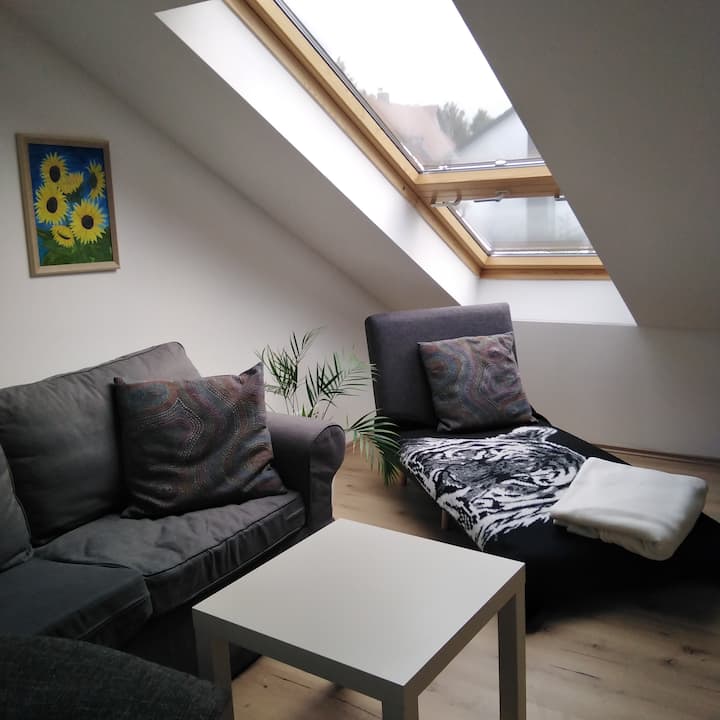 Großzügig Aufgeteilte, Wohnung Zum Wohlfühlen - Regensburg