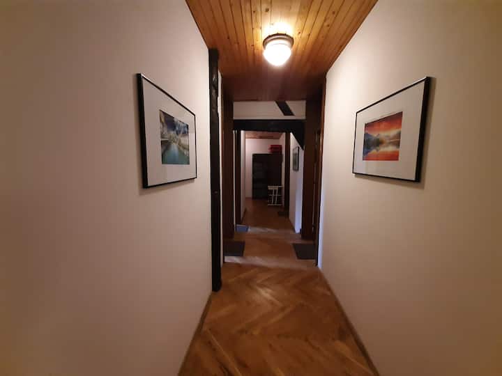 Vixi Nomad. Economy Room. Heart Of The Center #11 - Ljubljana