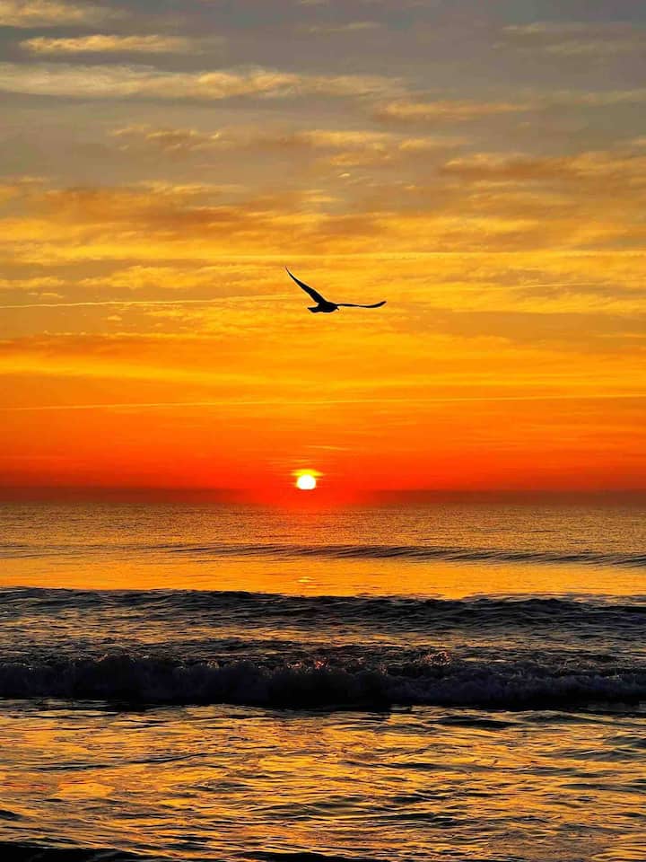 Ocean Views | Beach Access Across The Street! - Carolina Beach, NC