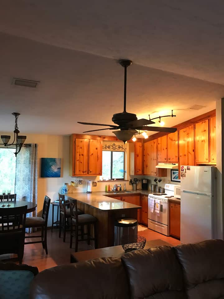 Anastasia Island Tropical Treehouse - St. Augustine Beach