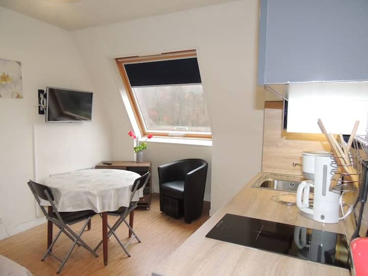 Studio Meublé 1 "Le Vieux Moulin" - Orne