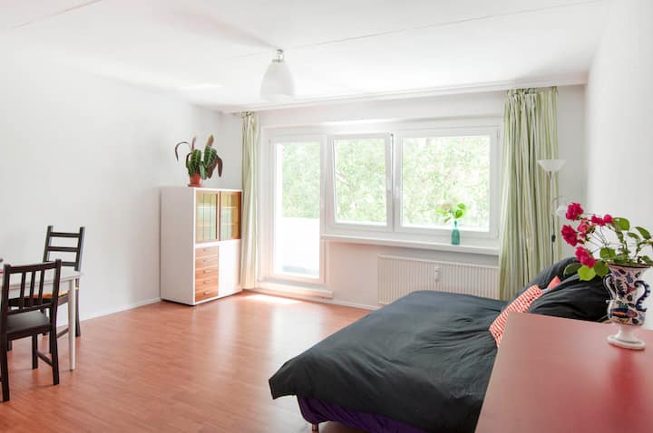 Mini Loft:  2 Bedrooms + Living-bedroom + Balcony - Berlin