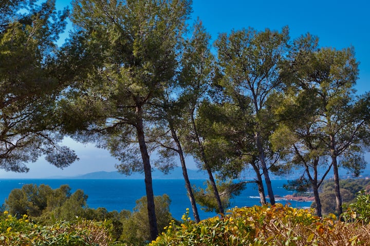 Rez De Jardin Vue Mer Piscine Tennis Bord De Plage - Agay