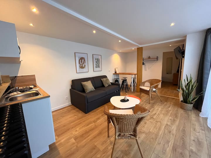 45.5. Bel Appartement. Lumineux, Wifi Centre Ville - Laval, France