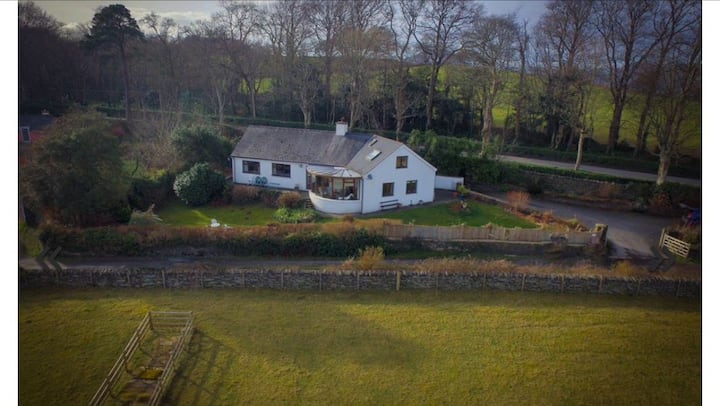 Artist Cottage Portmeirion With Views Snowdonia - Harlech