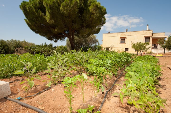 Nel Cuore Di Un Giardino Fiorito - Gallipoli