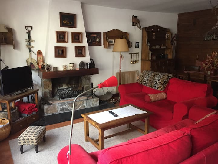 Típica Casa Aranesa- Baqueira Beret - Baqueira