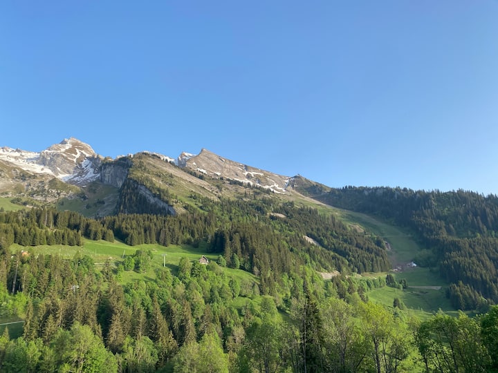 Appartement Familial Superbe Vue Montagne - La Clusaz