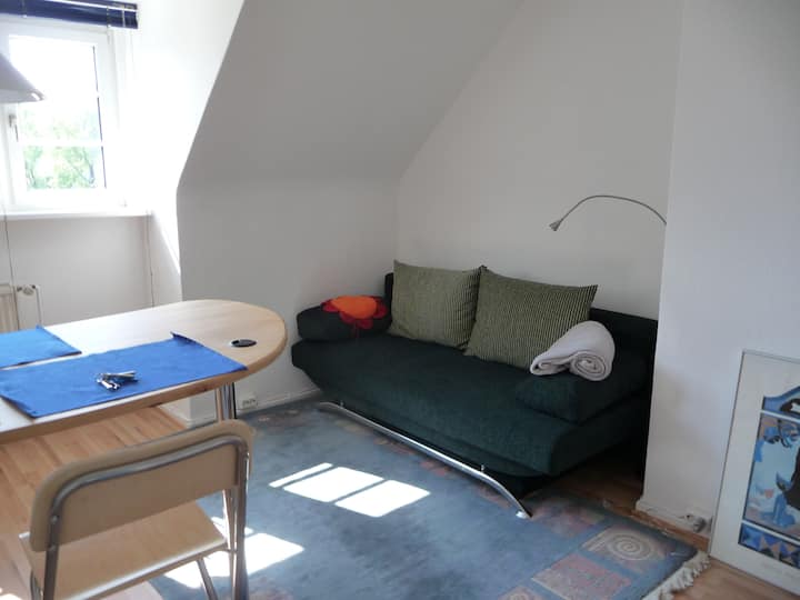 Zentral Und Grün  1,5 Zimmer - Berlino