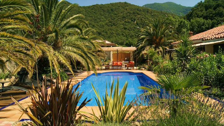 Apartment, Pool,near Collioure - La Jonquera