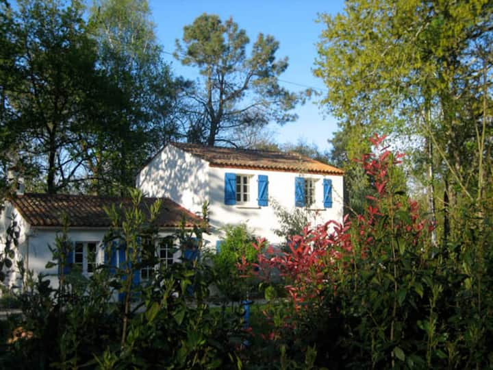 Plages Infinies, Nature & Calme - Moutiers-les-Mauxfaits