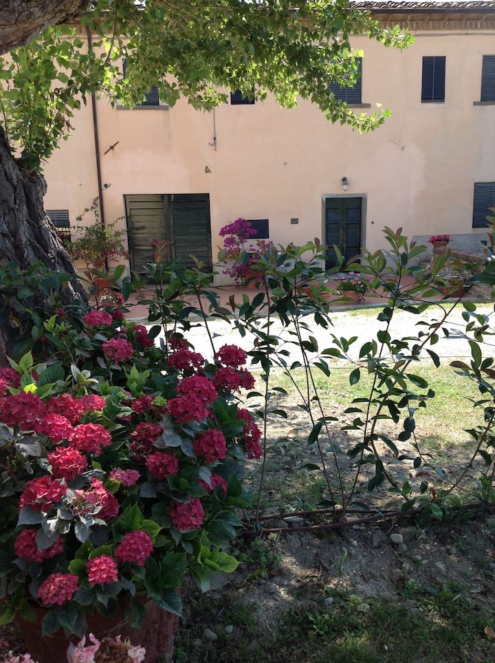 Toscana/firenze/cipressina - Tuscany