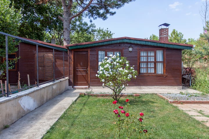 Detached Wooden House With Garden - Büyükada