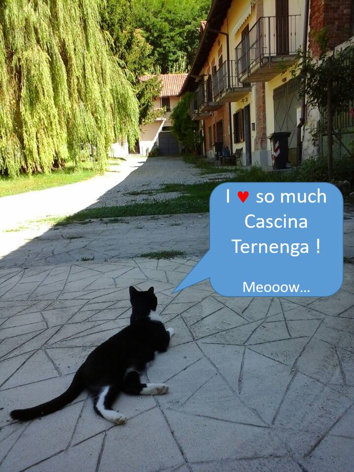 Appartamento All'interno Della Cascina Ternenga - Chivasso