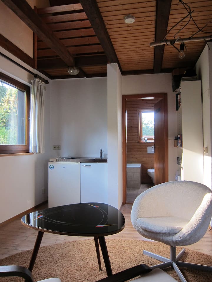 Wohlfühlzimmer Im Grünen In Aussichtslage (Süd) - Stuttgart