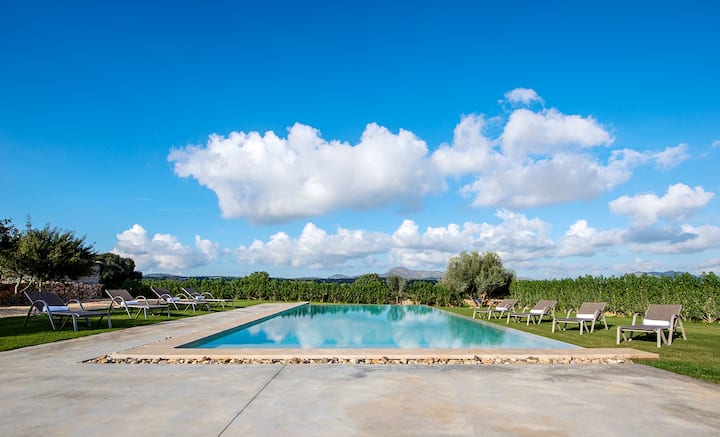 Sa Pleta Apartment - Manacor