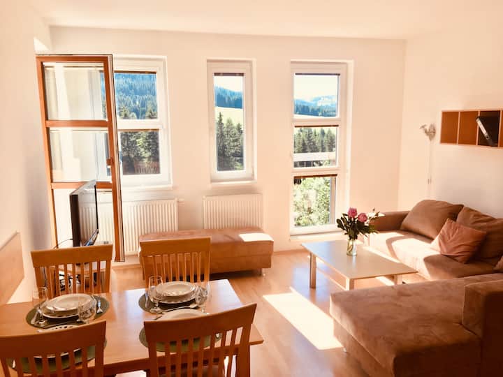 Horský Apartmán Klínovec 3 - Oberwiesenthal