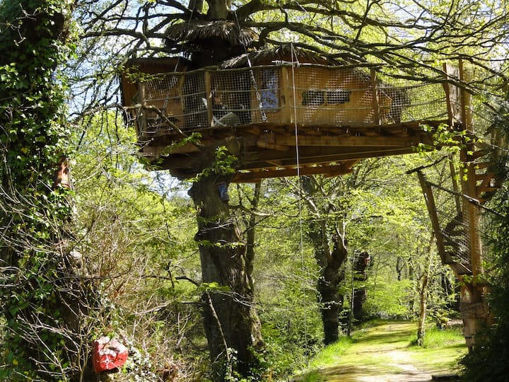 Cabane Dans Les Arbres Gunnera - Plouha