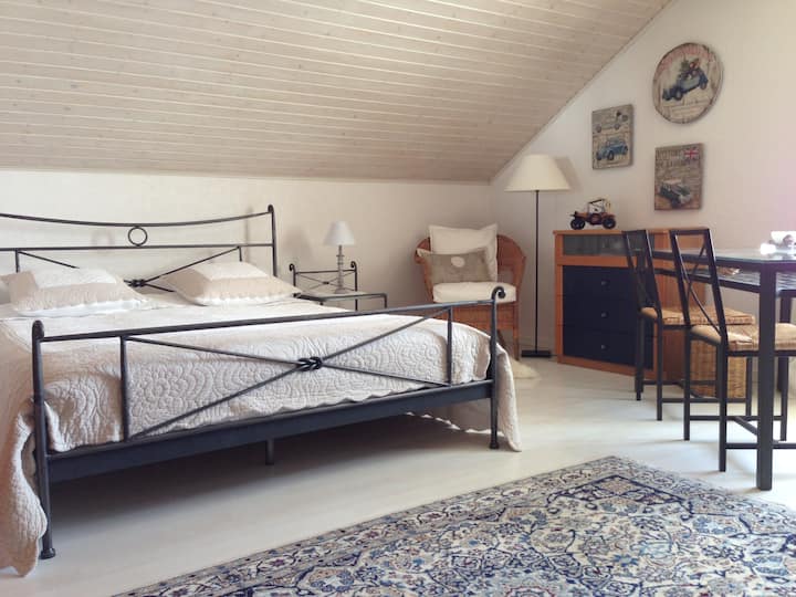 Chambre Spacieuse (Sdb Et Kitchenette) - Saint-Genis-Pouilly