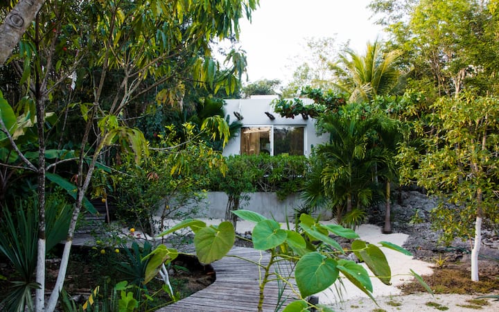 Tulum jungle hideaway *Casa Uh May* - Guesthouses for Rent in Francisco ...