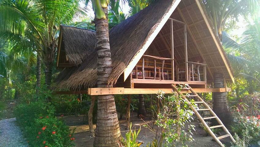 Coconut Tree House Udalo Mindoro AUG 2021 Treehouse In Udalo Philippines 1 Bedroom 1 coconut-tree-house-udalo-mindoro-aug-2021-treehouse-in-udalo-philippines-1-bedroom-1