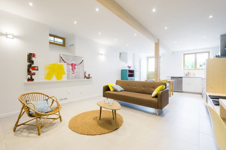 Appartement à 100 Mètres Du Lac - Sévrier