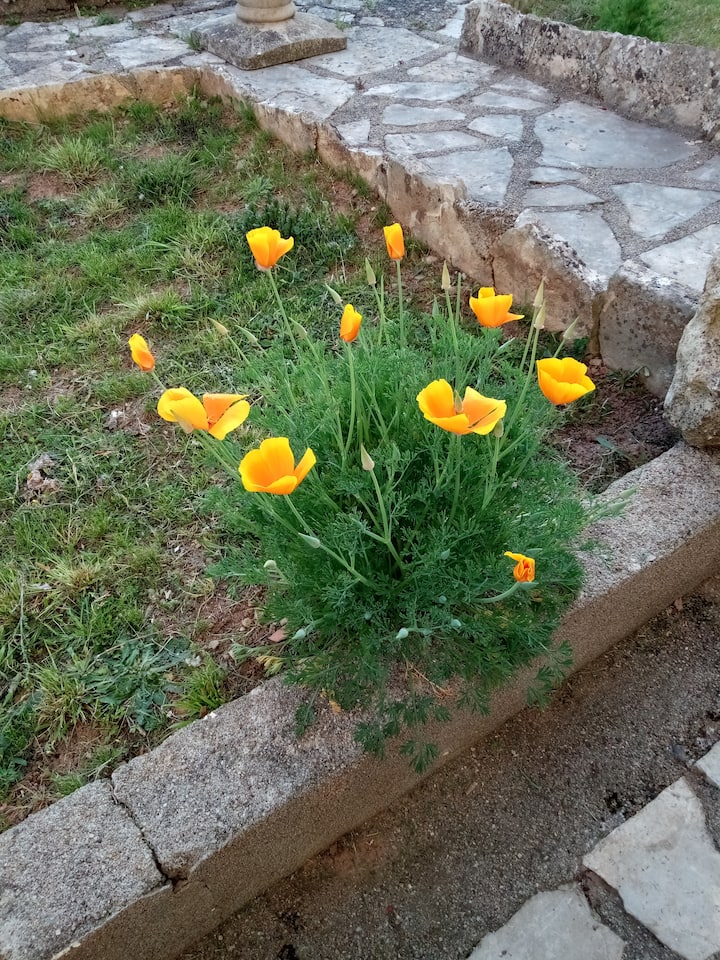 Petit Moment De Détente, - Cahors