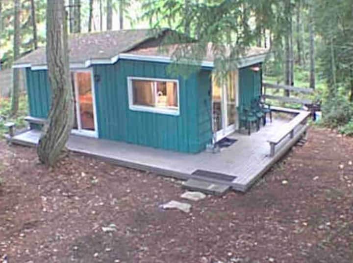 Cozy-mod-cabin-amazing Water-mt -Woods Views $99 - Silverdale, WA