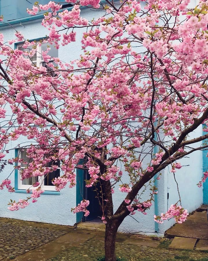Albion Cottage, Cockermouth - Cockermouth