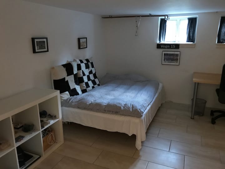 Stor Kælderlejlighed Tæt På Centrum, Egen P-plads - Odense