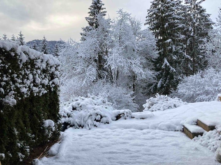 Appartement à Charmey Près Des Pistes Et Des Bains - Charmey