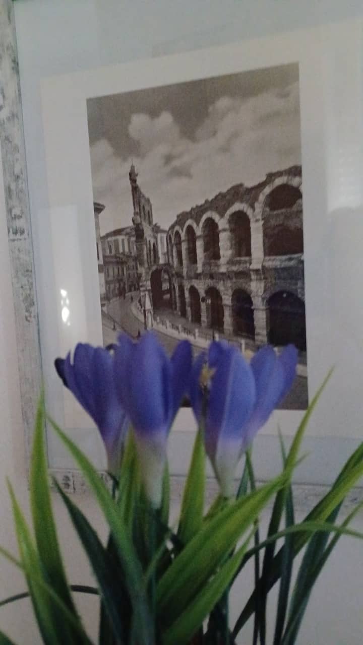 Gardenroom Verona - Verona