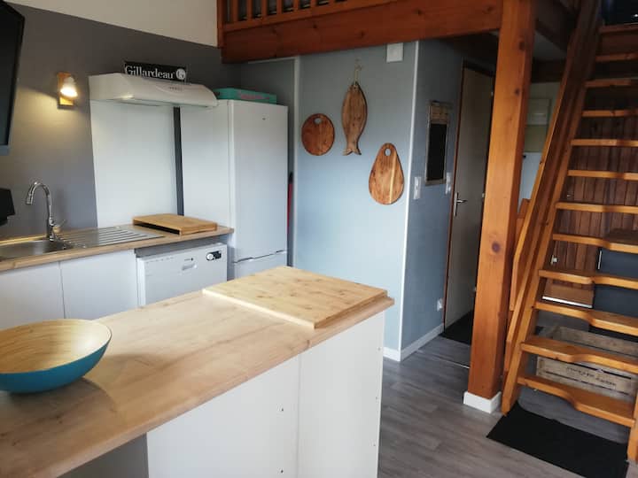Appartement La Palmyre Centre, 900m De La Plage - Les Mathes