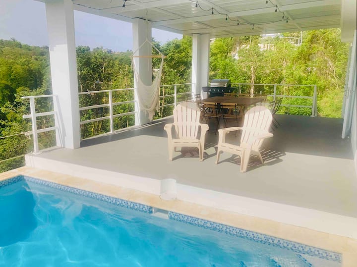 Hacienda Leo 12 Person Villa With Pool - Rincón