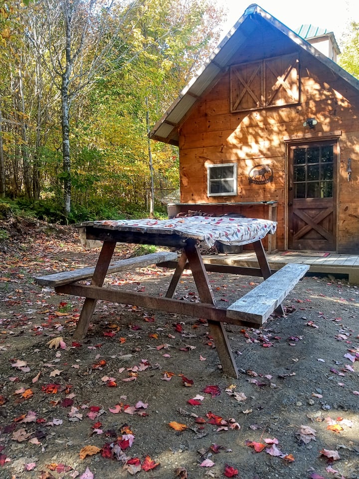 Matthew's Mountain Getaway - Coleman State Park, Stewartstown