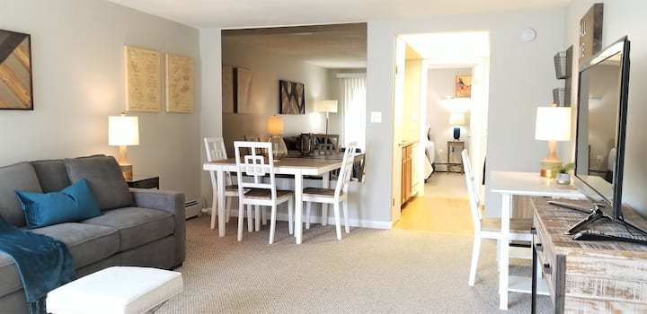 Dover - Modern & Stylish Furnished 1 Bed/1 Bath - Rochester, NH