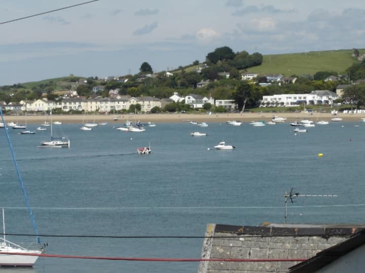 Seaview Cottage, Dog Friendly, Appledore - Appledore