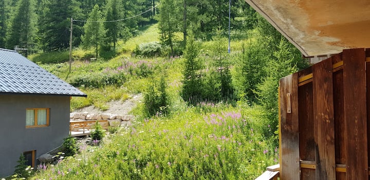 La Foux D'allos Tres Bel Appart Pied Des Pistes - La Foux d'Allos